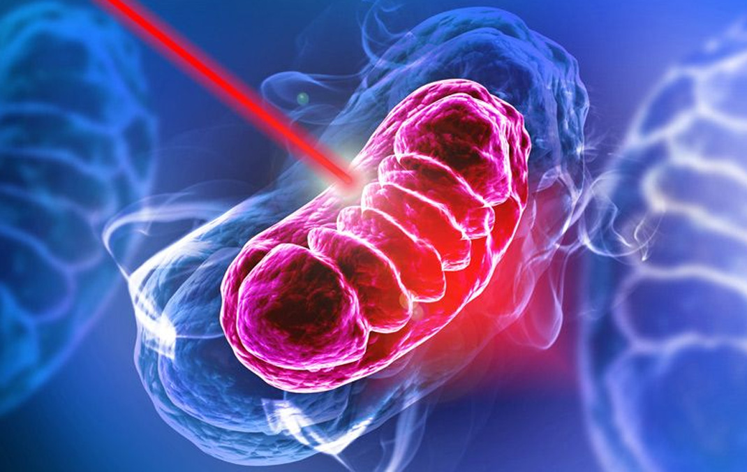 The Science Behind Low-Level Laser Light Therapy and Its Health ...